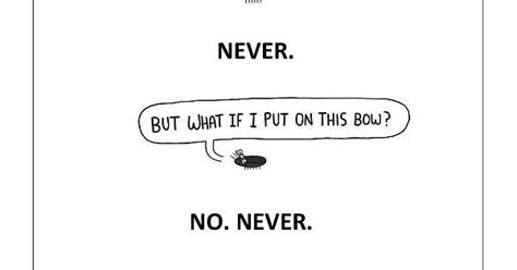 The Six Laws Of Adorability Aka A Guide To Reach The Front Page