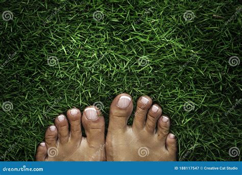 Women`s Barefoot With French Manicure On A Green Grass Stock Image