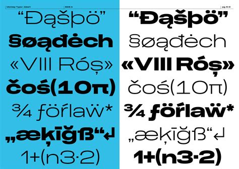 Albert Font By Mnky Type