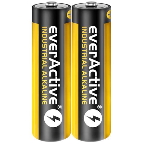 EverActive LR06 industrial | MAKS POWER