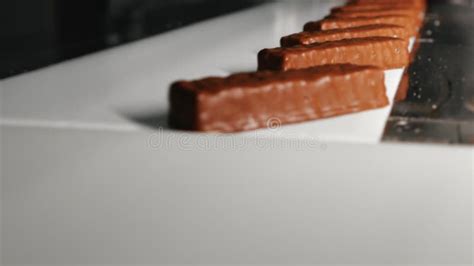 Conveyor Belt In A Chocolate Factory Candy Production Stock Footage Video Of Candy