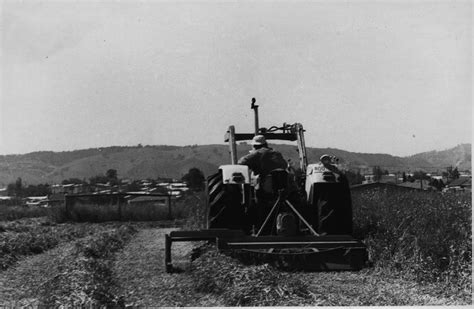 Hay And Fodder Conservation In South Australia History Of Ag Sa