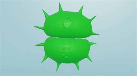 Xanthidium Fasciculatum Forma Fasciculatum Pandorina