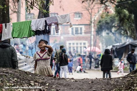 Así Será La Ida De Los Embera Del Parque Nacional 3 Años Después De Haberse Asentado Allí