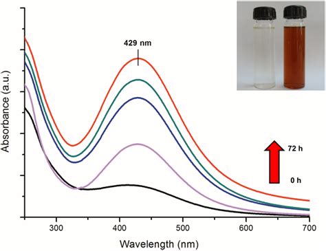 Uv Visible Spectrum Of Reaction Medium As A Function Of Time 0 12