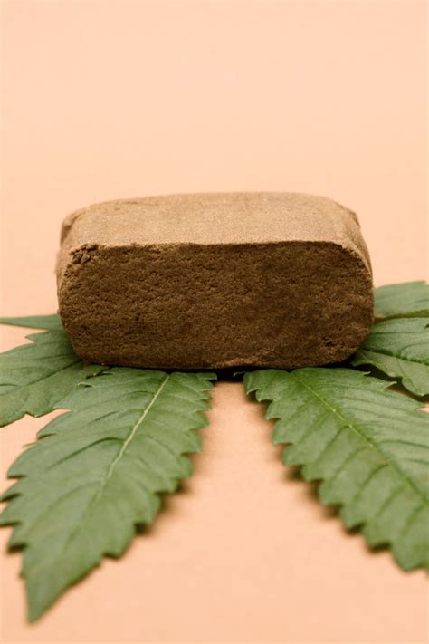 Weed Vs Hash The Similarities And Differences Between Flowers And