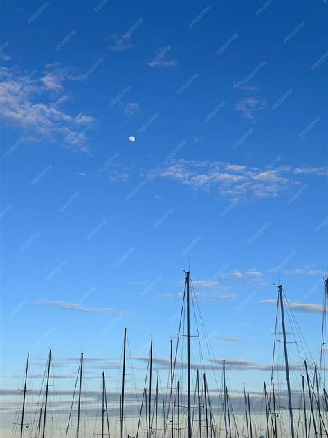 Premium Photo Sky Moo