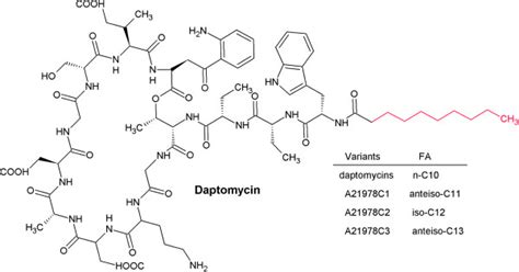 The Chemical Structure Of Daptomycin And Other A21978c Factors Download Scientific Diagram