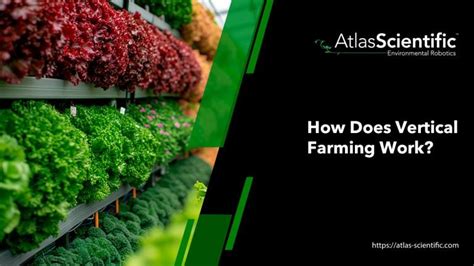 How Is Conductivity Measured Atlas Scientific