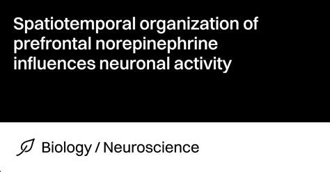 Spatiotemporal Organization Of Prefrontal Norepinephrine Influences Neuronal Activity