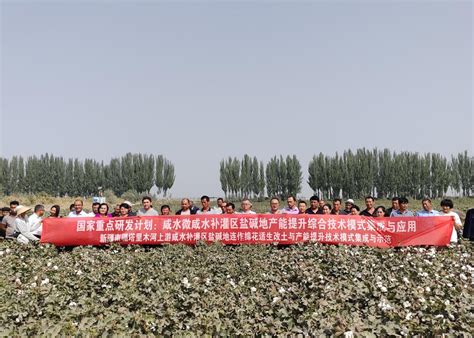 棉花所阿瓦提县棉花基地助力南疆棉田破解干旱减产难题 新疆农业科学院