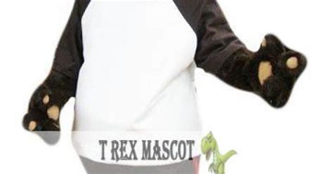 Chocolate Bear Mascot Costume