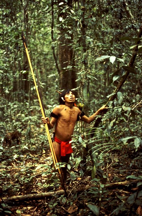 Los Yanomamis Son Grandes Observadores De La Naturaleza Survival