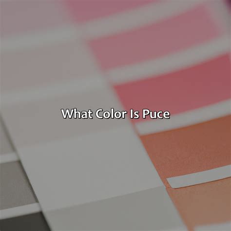What Color Is Puce