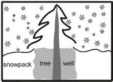 Snowboard Safety