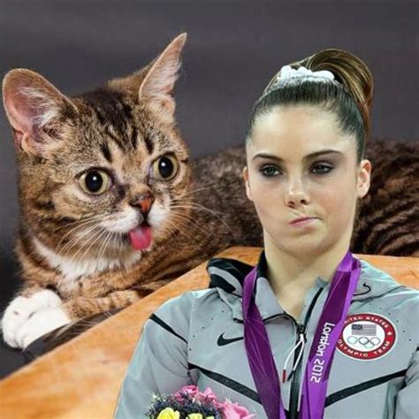 Image 377840 Lil Bub Know Your Meme