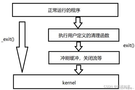 csapp——linux下的 status 函数及进程退出 进程回收详解 csdn博客