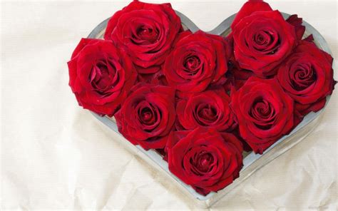 Цветы сердечком Heart Wallpaper Hd, All Valentine Day, Free Gift Card ...