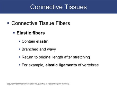 A Detailed Description About The Connective Tissues Ppt