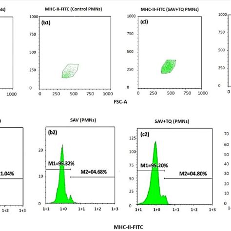 Cytofluorometry Of The Mhc Class Ii Induction And Modulation In The