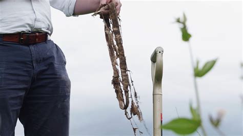 Plant Your Pants Update Spoiler The Soil Ate Our Undies Yeo