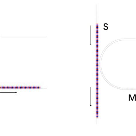 Field Distribution Between The Straight Waveguide And The Ring Curve Download Scientific