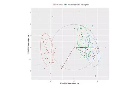 Visualizing High Dimensional Data Blob Analysis Pca