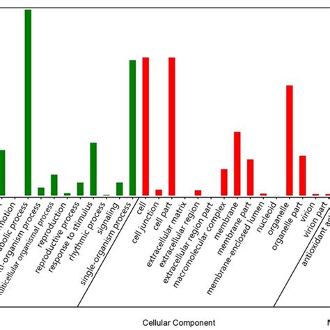 Categorisation Of The Identified Unigenes Depending On Go Functional