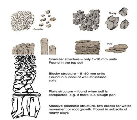 Granular Soil Structure
