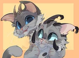 Graypillow Hobbyist Digital Artist Deviantart
