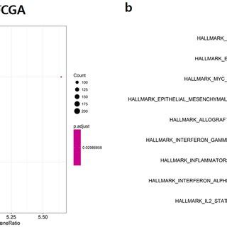 Dot Plot Of Enriched Pathways Determined From GSEA Results Each Dot Download Scientific
