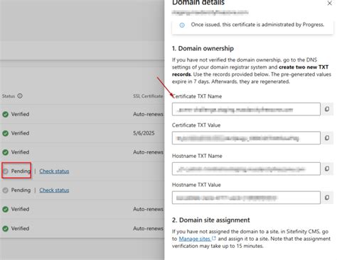 How To Perform Txt Verification For Sitefinity Cloud Progress Community