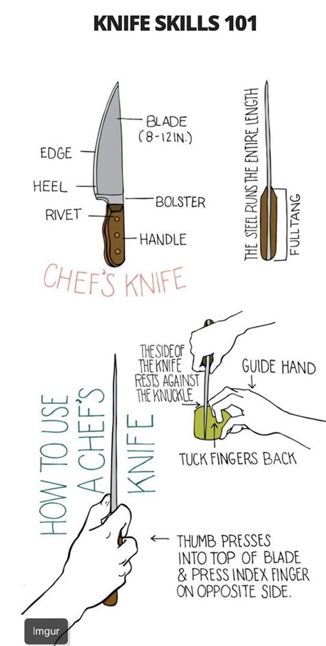 Pin By Sexy Fit Lifestyle On Good To Know Knife Skill Culinary