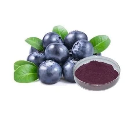 Acai Berry Processing Plant Report 2025 Project Cost Manufacturing
