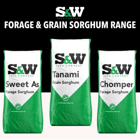 Swseedco Foragesorghum Grainsorghum Sorghum Sandw Seed Company