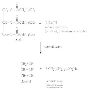 équation De Saponification