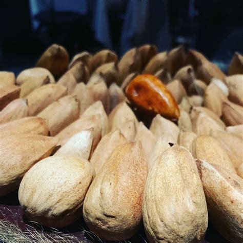 Dinosaurs Snack Ranveer Brar