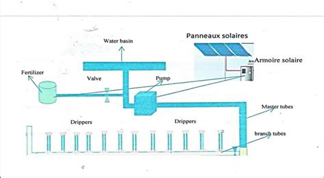 Subsurface Drip Irrigation System Sdis Download Scientific Diagram