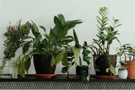 Puķu Podi Kā Dizaina Elements Mājas Interjerā Būvniecības