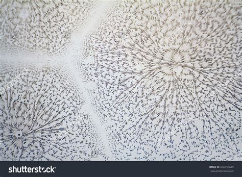 Microscopic Patterns