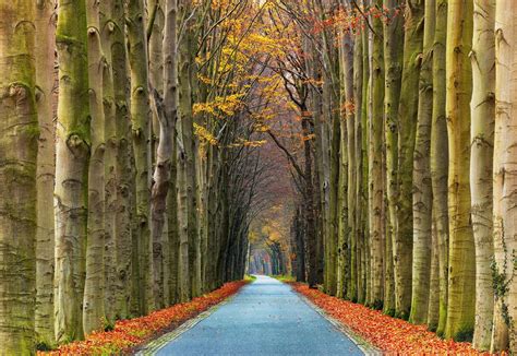 Netherlands Photography Open Edition Print Peter Lik