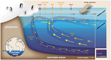 Draw An Annotated Diagram To Demonstrate The Ocean Circulati