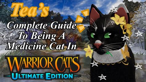 ~ Wcue Teas Complete Medicine Cat Guide Herbs And More ~ Youtube