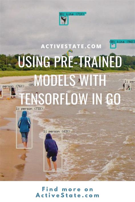 Using Pre Trained Models With Tensorflow In Go