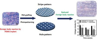 Modulation Of Foreign Body Reaction Against Pdms Implant By Grafting