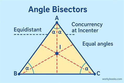 Angle Bisector Definition Examples Quiz Faq Trivia