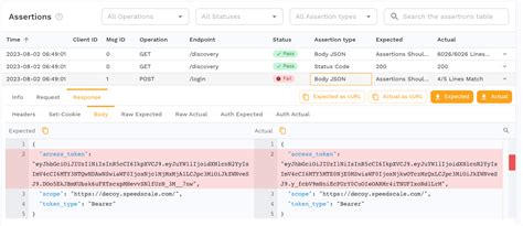Accuracy Speedscale Docs