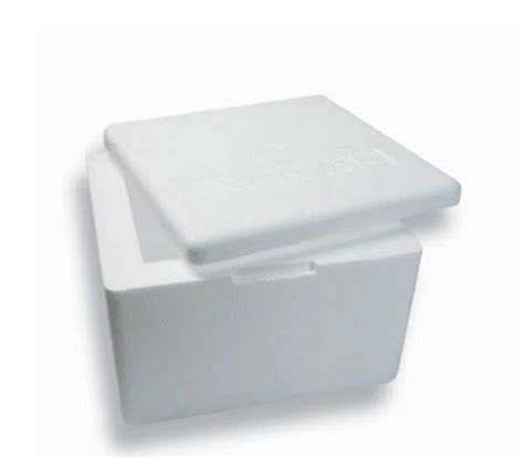 Thermofrost 10 L 75ltrs Thermocol Boxes For Packaging At Rs 150piece