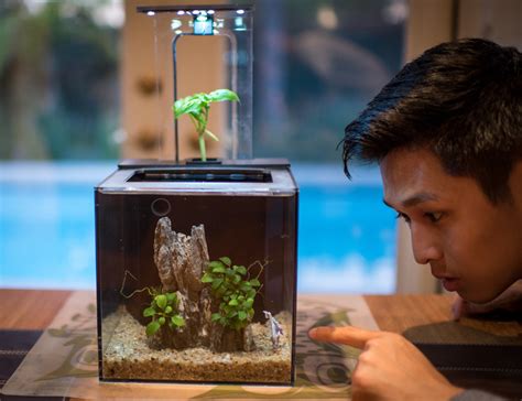 Ecoqube C Your Window To Nature — Gadget Flow