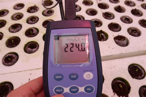 Daily Light Integral Dli Lighting Introduction Horti Generation